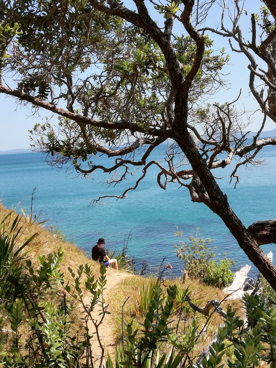 A Poem: Constancy – Living Tree Poetry