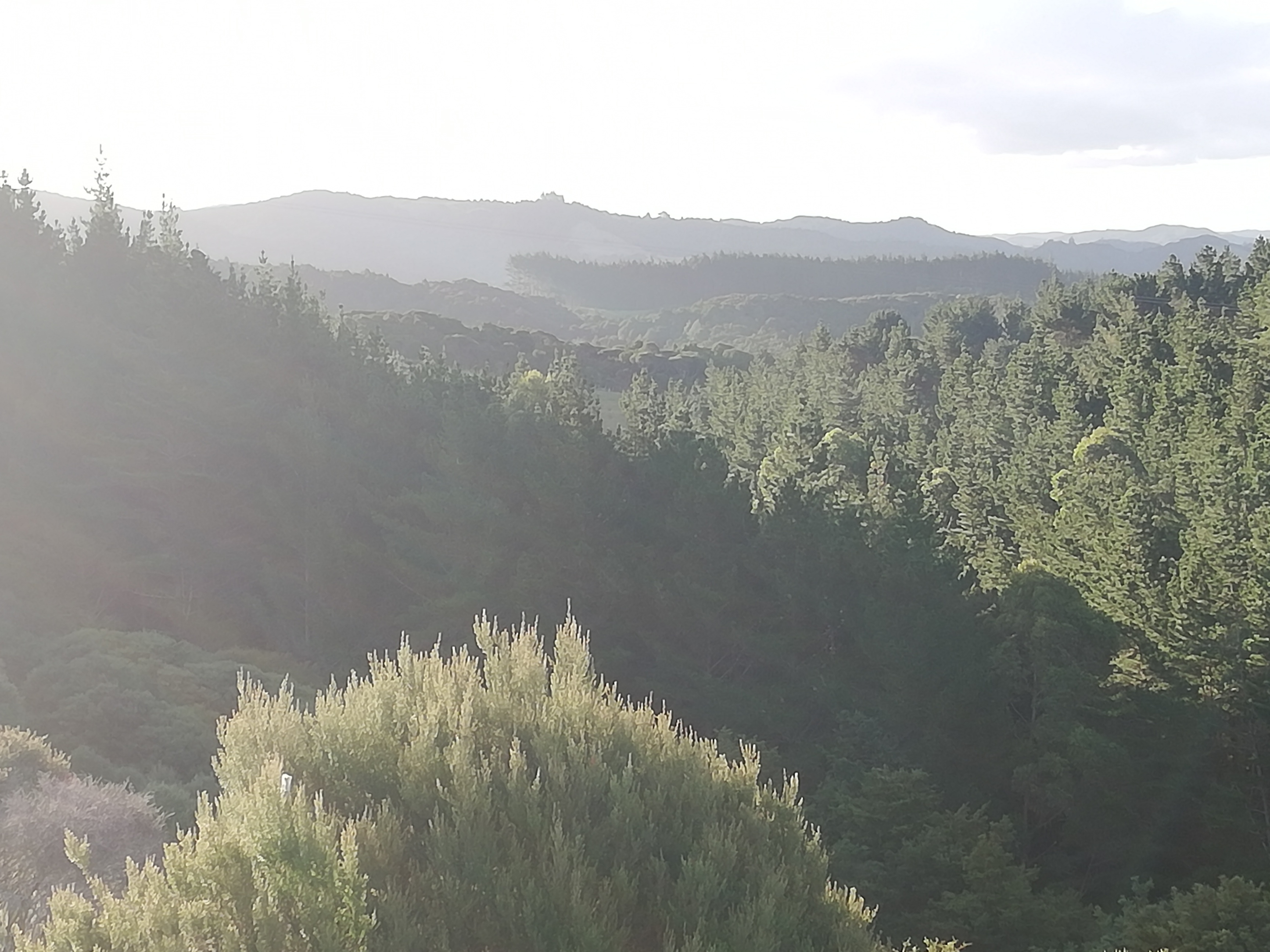 A Poem: Something Else – Living Tree Poetry