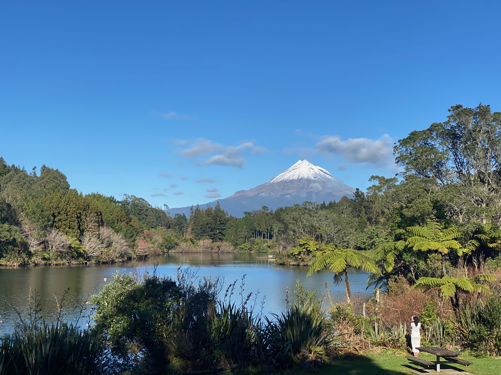 A Poem: Joining the Dots – Living Tree Poetry