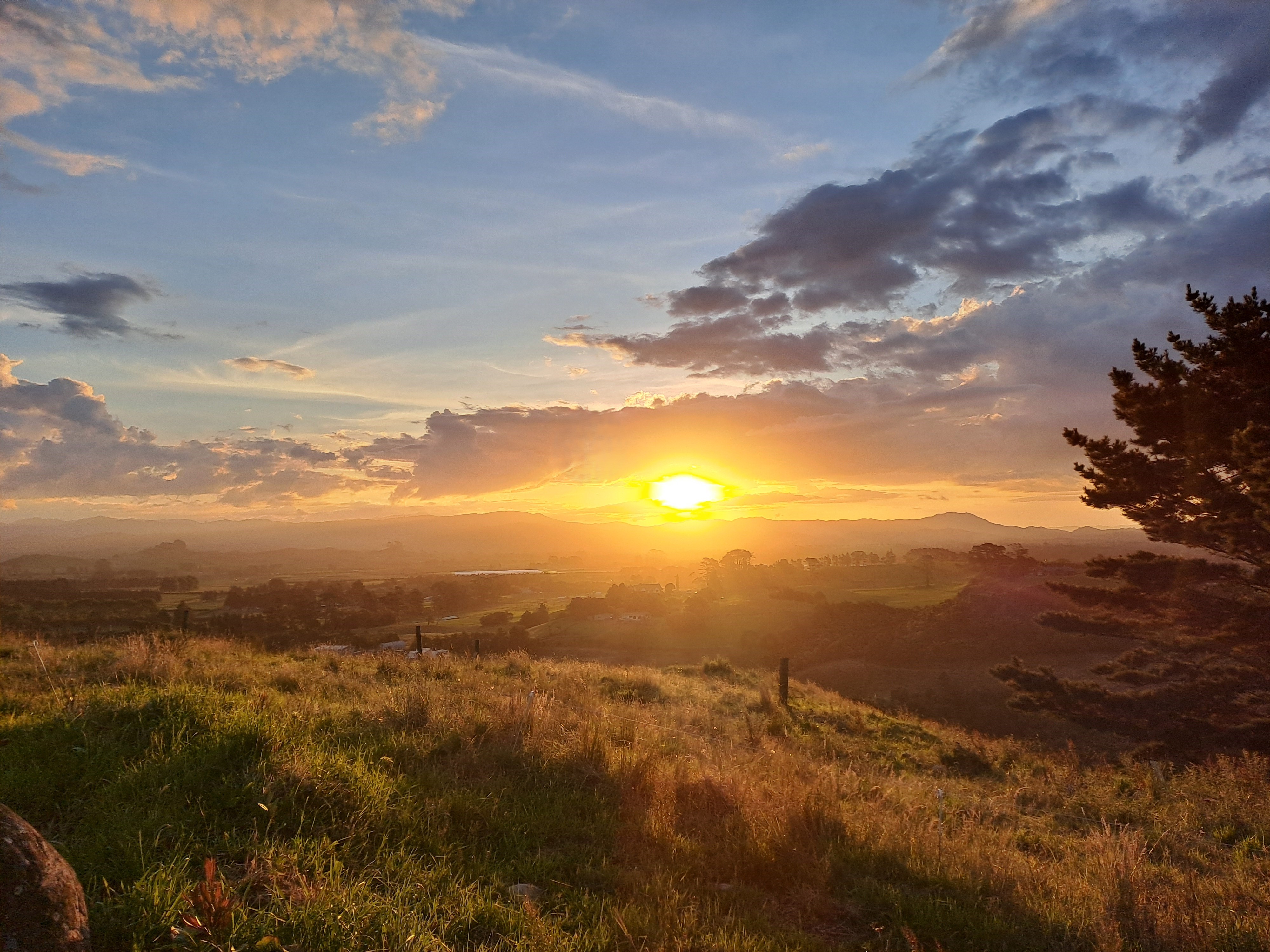 A Poem: In Colour – Living Tree Poetry